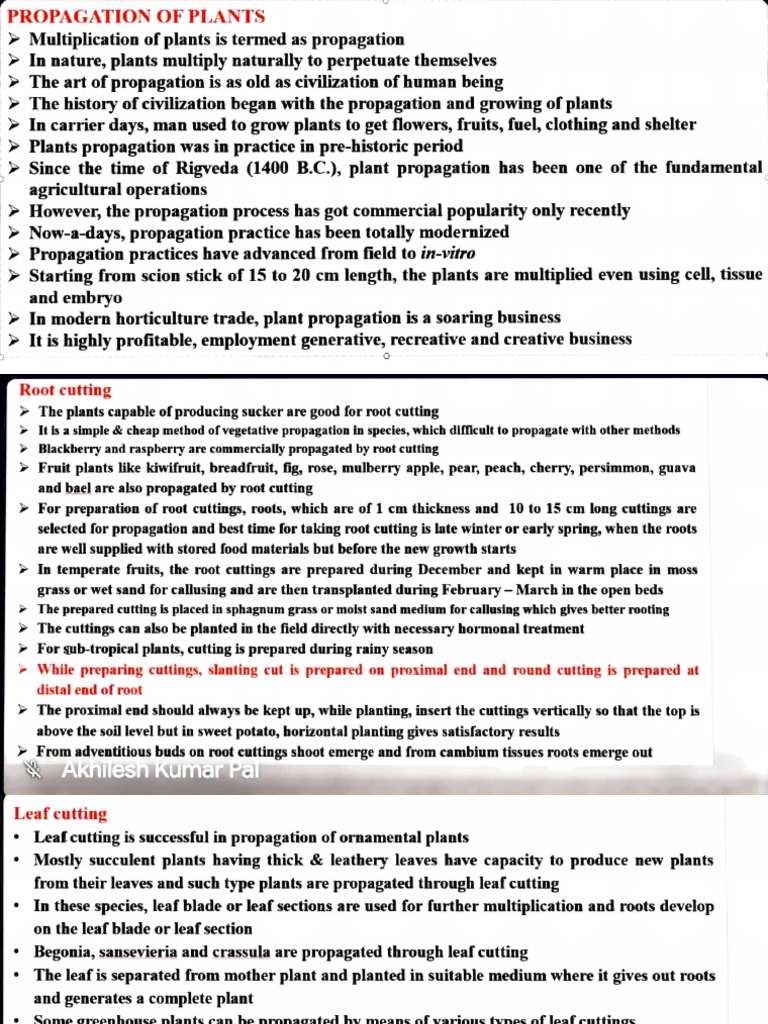Propagation Methods Plants Multiply | PDF | Leaf | Root