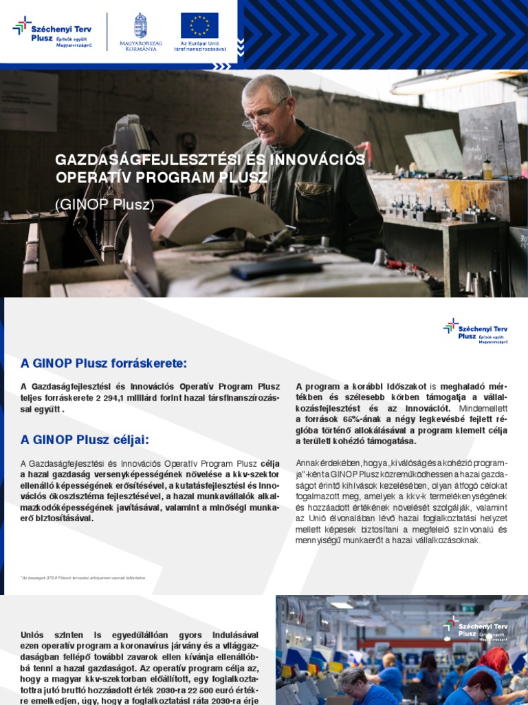 GINOP Plusz Összefoglaló-1 | PDF