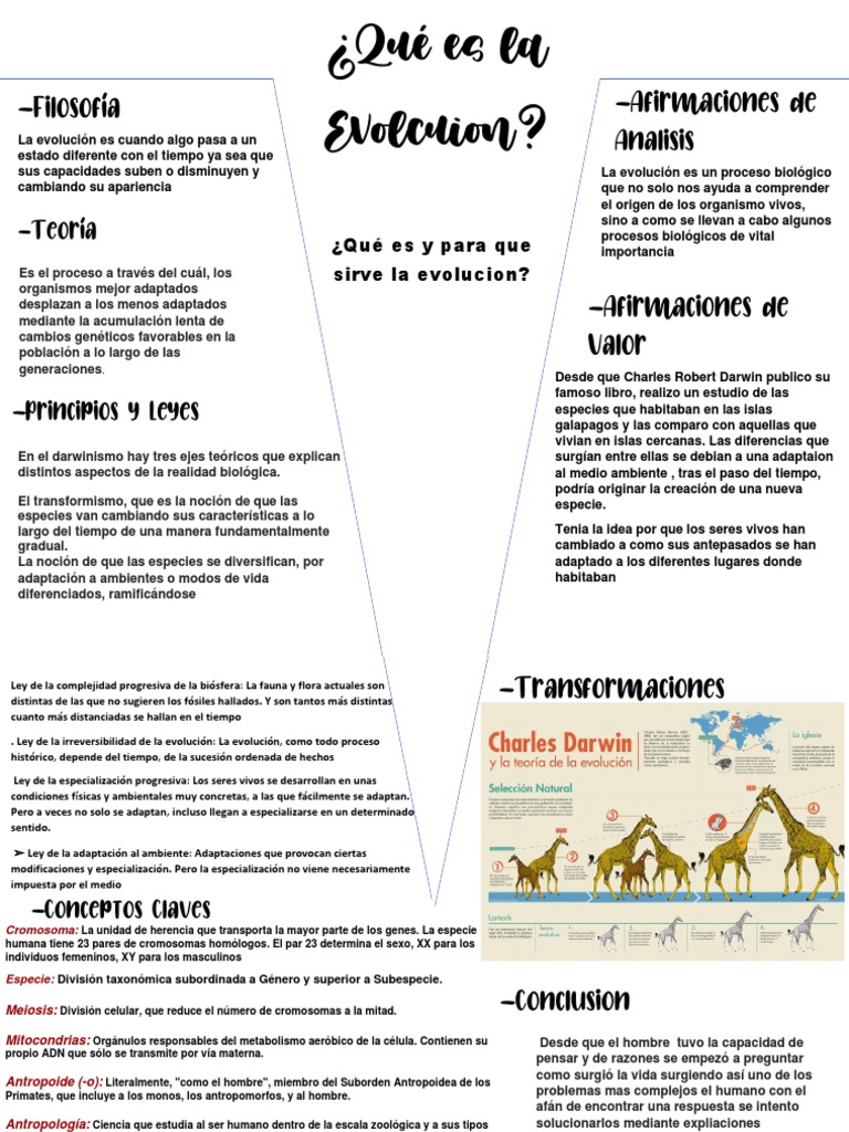 V de Gowin Evol | PDF | Evolución | Hominidae