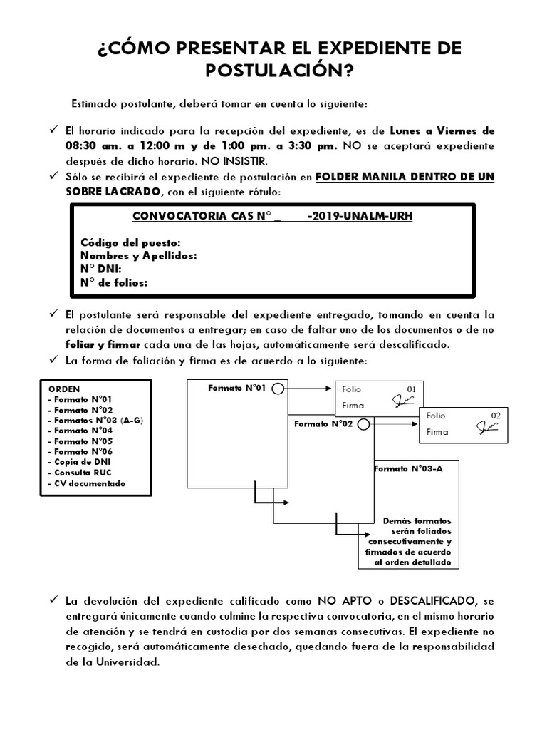 Forma de Presentacion Del Expediente | PDF
