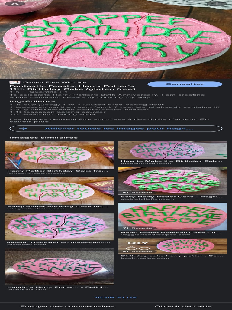 Hagrid's Gluten-Free Birthday Cake Recipe | PDF