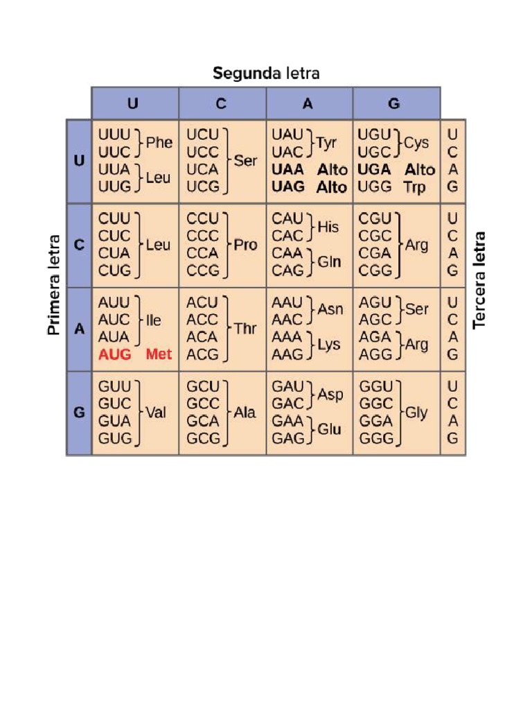 Codigo Genetico | PDF