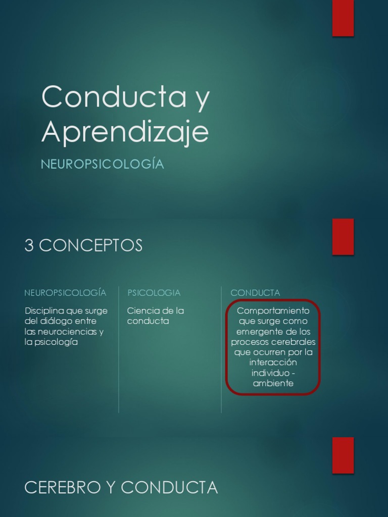 Aprendizaje y Conducta PDF | Descargar gratis PDF | Aprendizaje | Comportamiento
