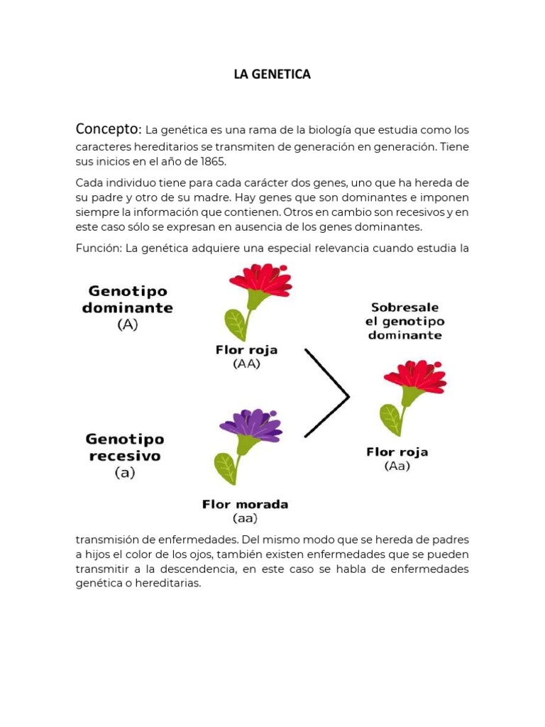 La Genetica | PDF