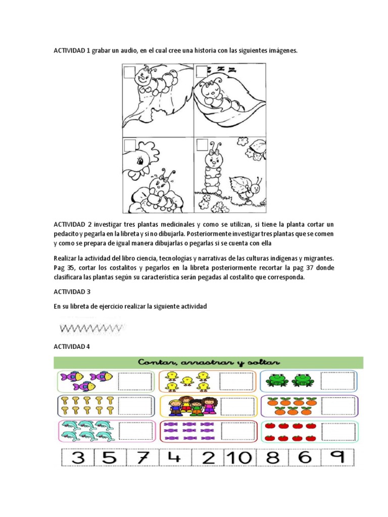 Actividades sobre plantas y narrativas | PDF | Hogar, jardinería y ...