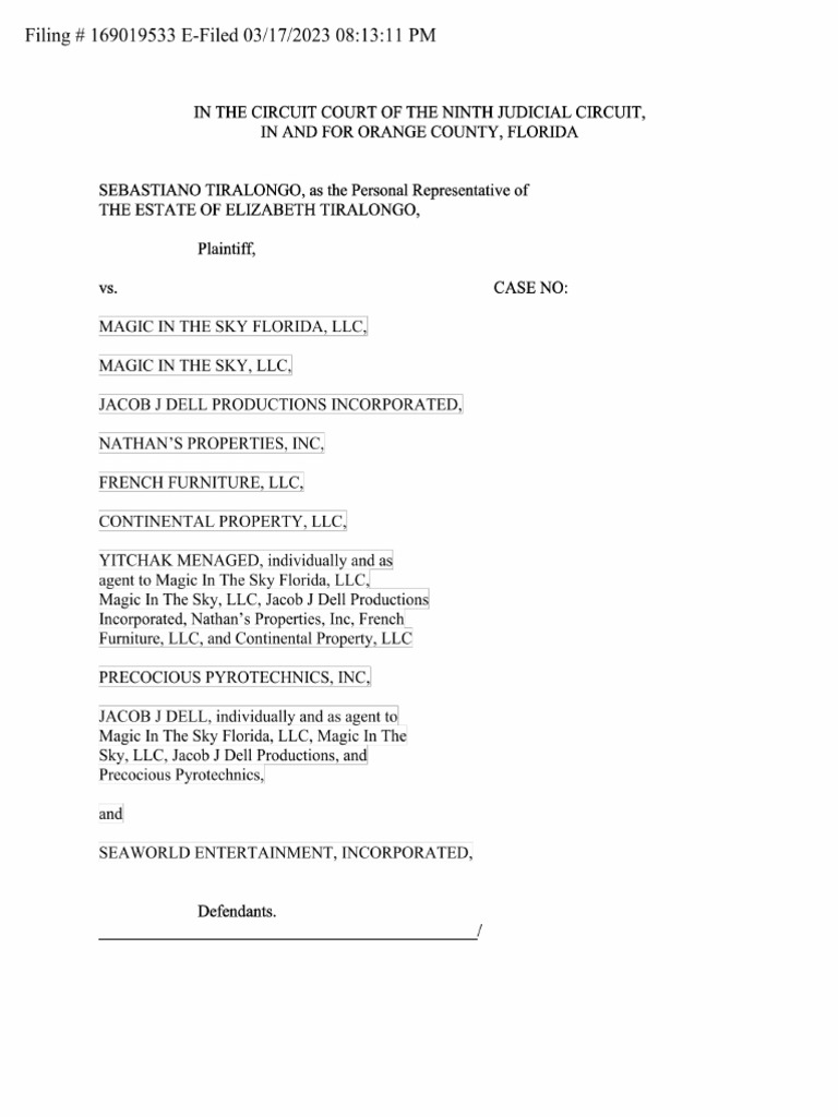 Magic in The Sky | PDF | Negligence | Occupational Safety And Health ...