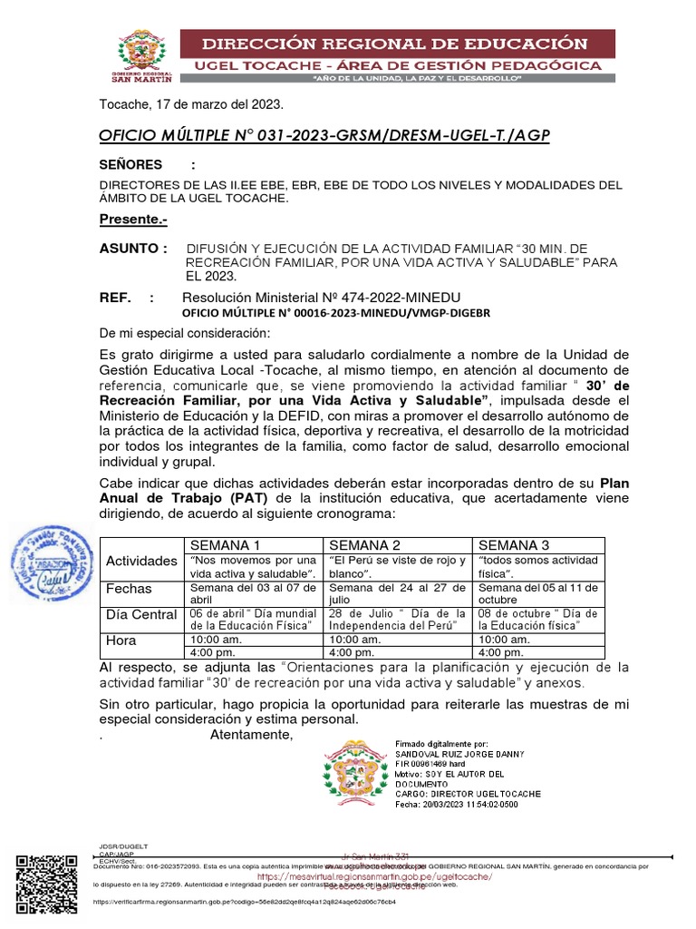 Oficio Multiple 031 Anexa Orient Ejec Acti Recreat | PDF | Deportes