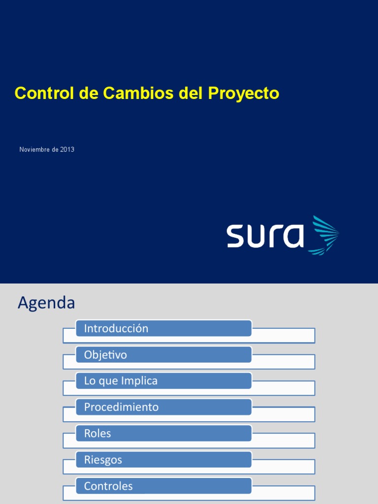 PO10.11 Control de Cambios Del Proyecto V1.0 | PDF | Software