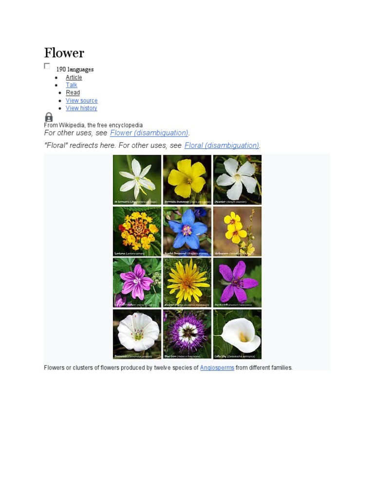 Flower | PDF | Flowers | Petal