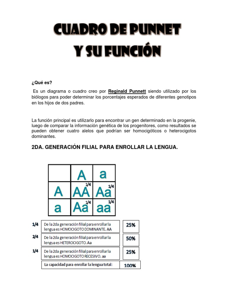 Cuadro de Punnett: Genotipos Filiales | PDF
