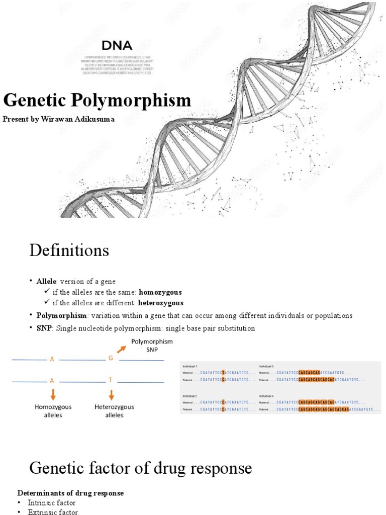 Genetic Polymorphism | PDF | Single Nucleotide Polymorphism | Genetics Genetic Polymorphism | PDF | Single Nucleotide Polymorphism | Genetics