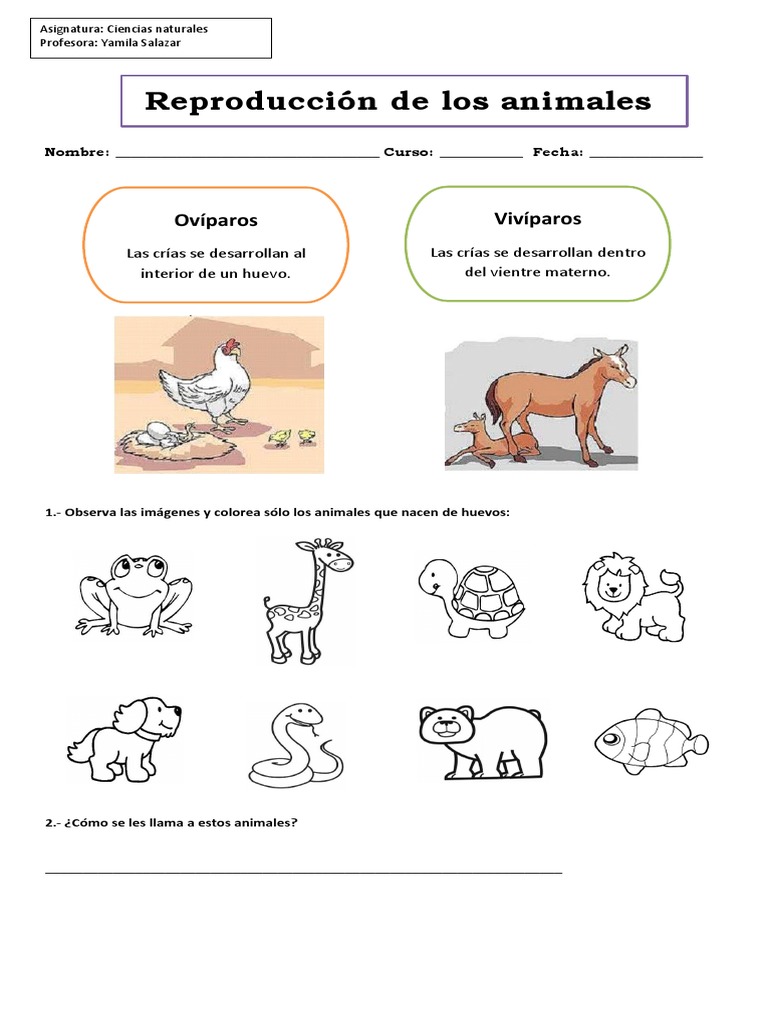 Guía reproducción animales 1° basico | PDF