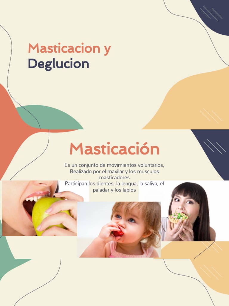 Masticacion y Deglucion | PDF | Esófago | Anatomía humana