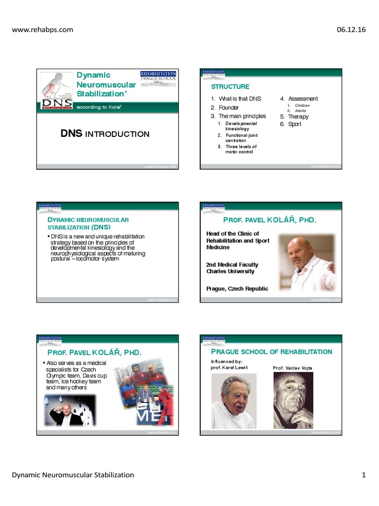 1 DNSA Intro PDF | PDF | Motor Control | Neuroscience