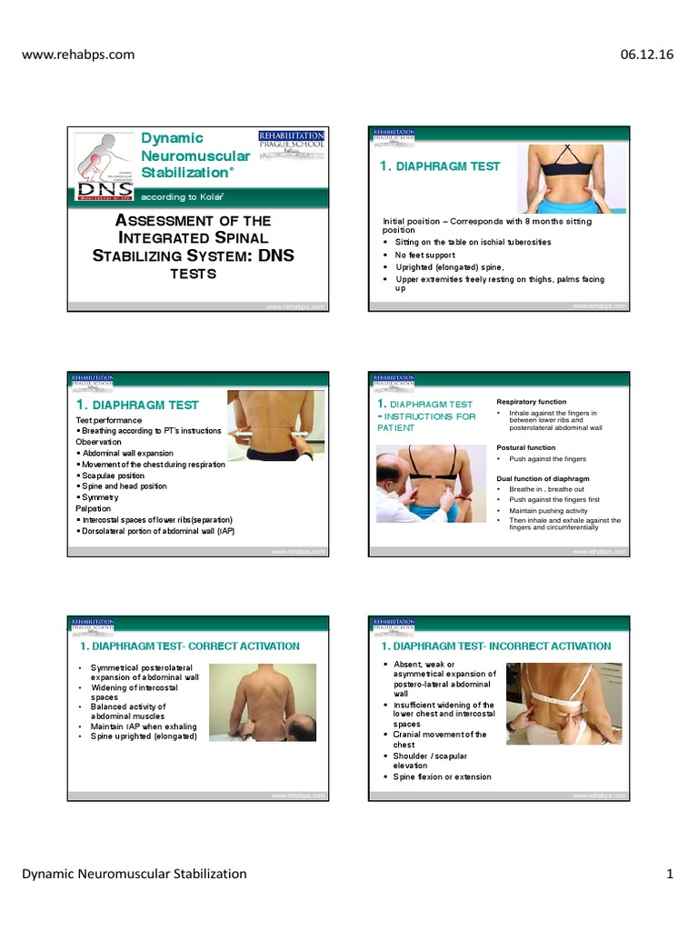 4 DNSA Assessment PDF | PDF | Abdomen | Pelvis
