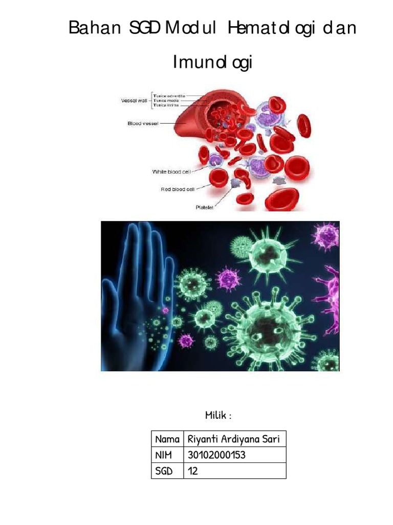 Bahan SGD Modul Hematologi Dan Imunologi - Riyanti PDF | PDF ...