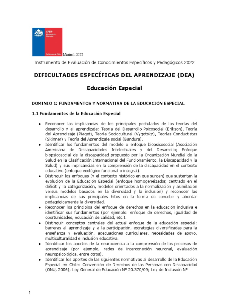 TEMARIO-Ed Especial Dificultades Especificas Del Aprendizaje | PDF | Aprendizaje | Evaluación