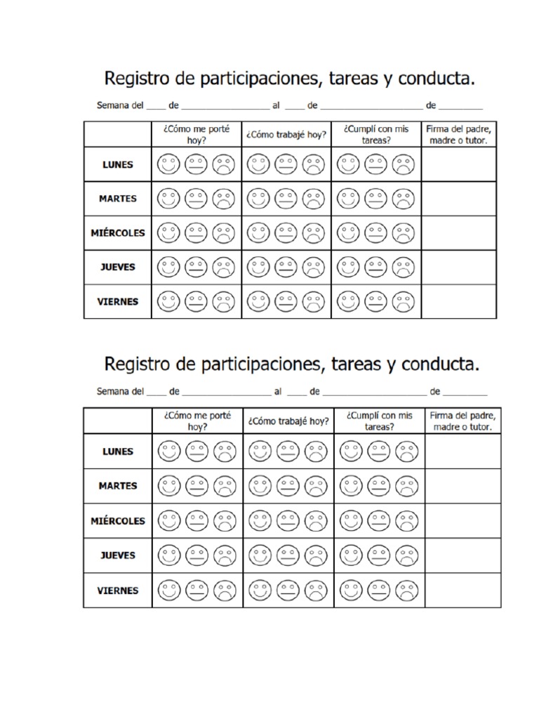 Registro de Conducta | PDF