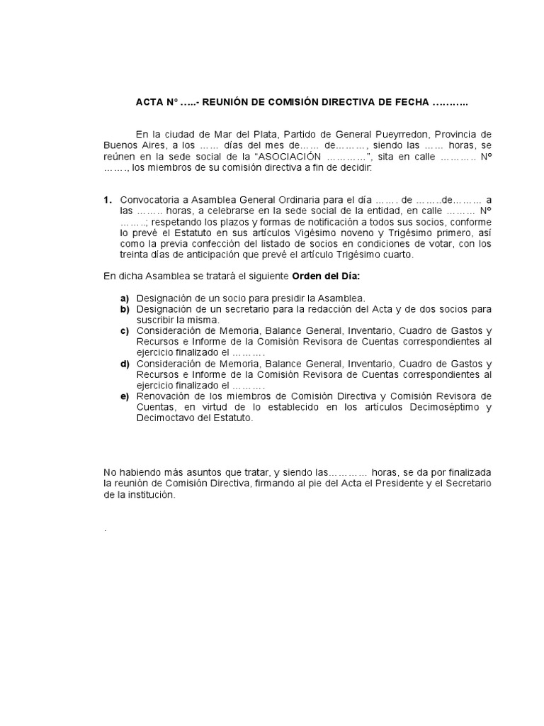 Acta de Reunión Comisión Directiva | PDF | Derecho | Tecnología