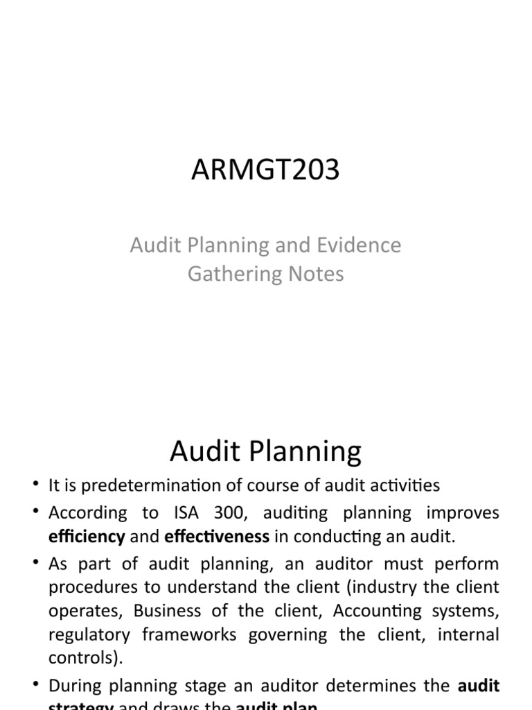 Audit Planning Notes | PDF | Audit | Financial Audit