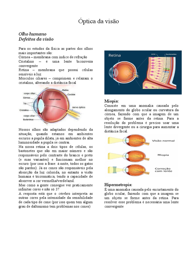 Óptica Da Visão | PDF | Sistema visual | Ótica