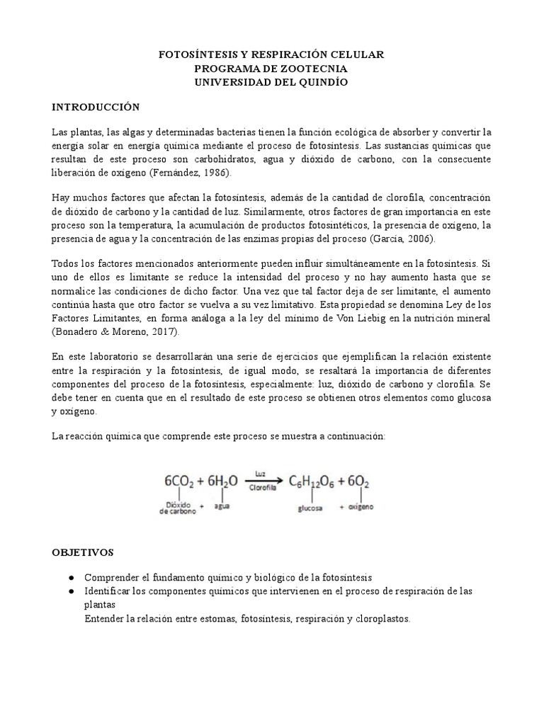Fotosíntesis y Respiración Celular | PDF | Fotosíntesis | Estoma