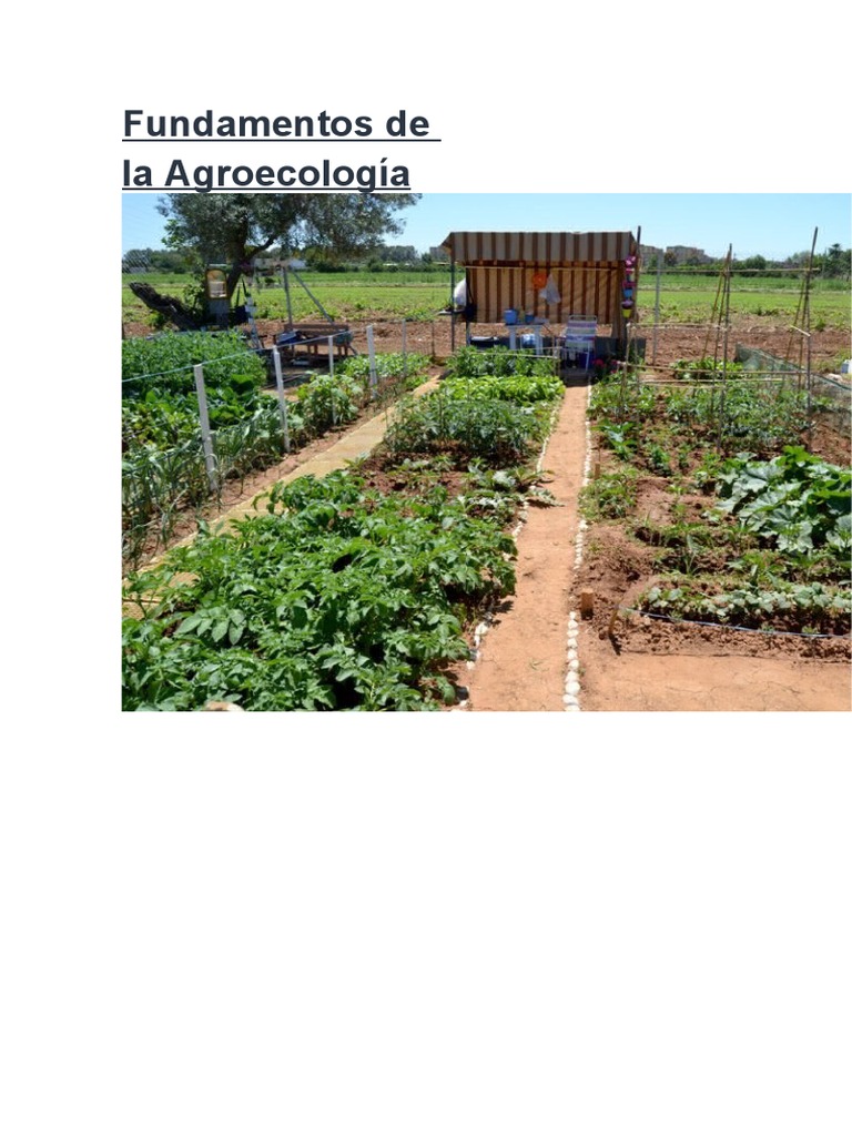 Fundamentos de la Agroecología | PDF | Agroecología | Agricultura