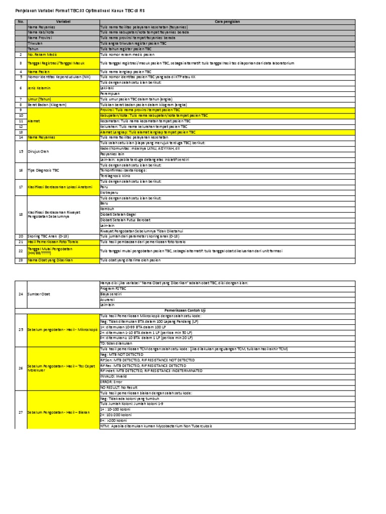 Format Pengumpulan Data TBC RS 2022 FIX | PDF