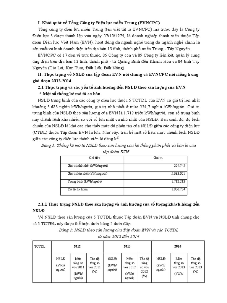 Bài tập lớn _ NSLD EVN | PDF