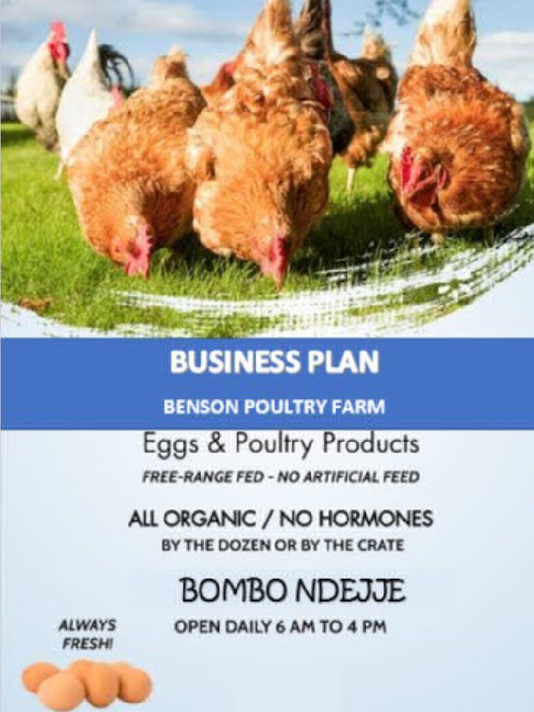 Business Plan 2 | PDF | Marketing | Poultry Farming