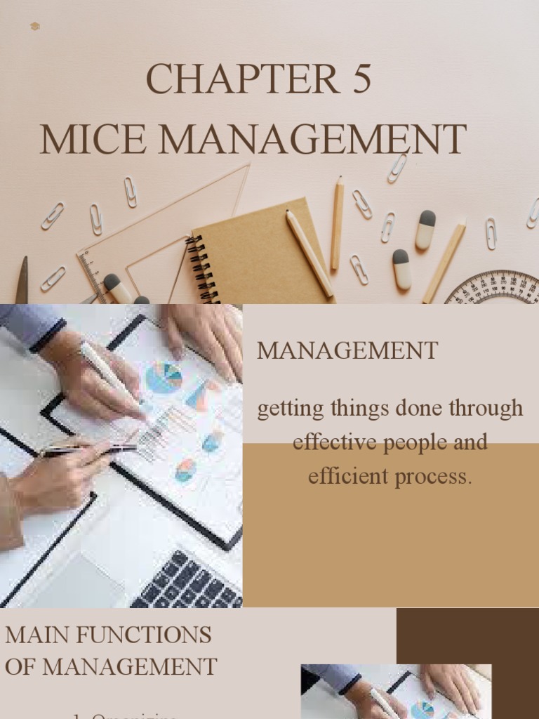 Chapter 5 Mice Management | PDF | Leadership | Goal