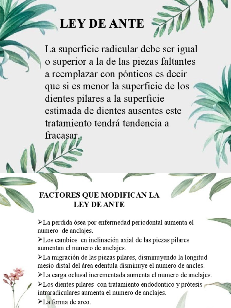Ley de Ante | PDF | Ramas de Odontología | Anatomia dental