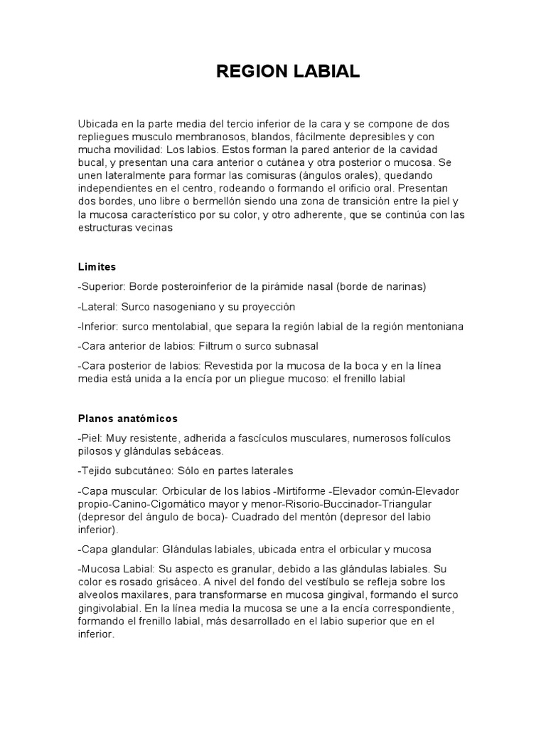 Region Labial | PDF | Labio | Anatomía humana