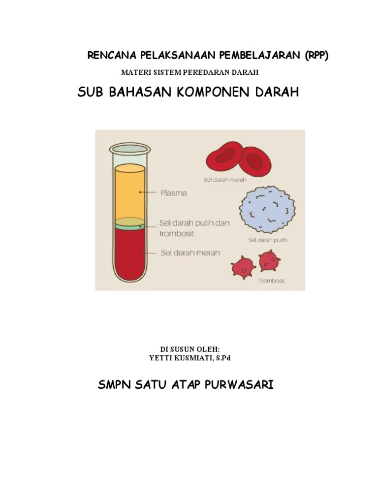 RPP Komponen Darah Kelas VIII | PDF