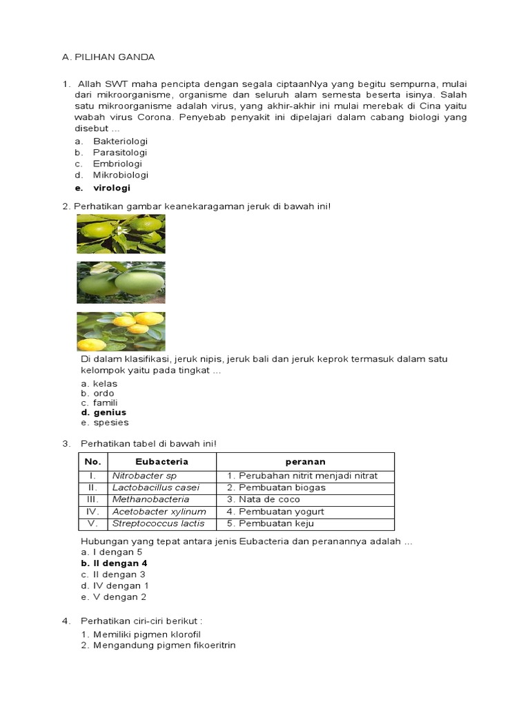 Biologi Um | PDF | Kajian Bahasa Asing | Sains & Matematika