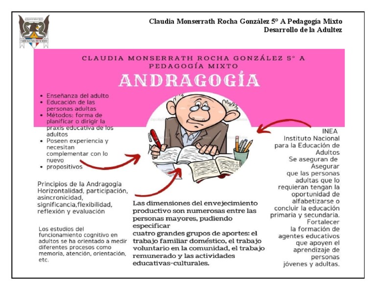Infografía de La Andragogía Claudia Rocha | PDF