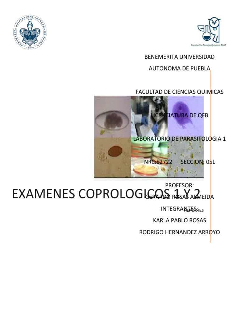 Exámenes Coprológicos: Métodos y Resultados | PDF | Heces | Laboratorios