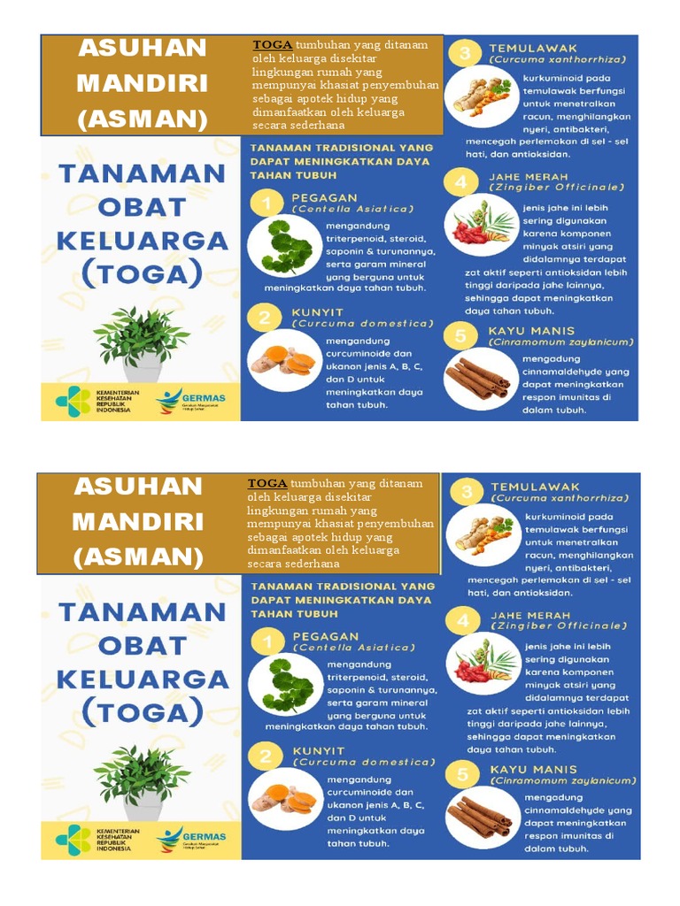 Poster Asman Toga | PDF