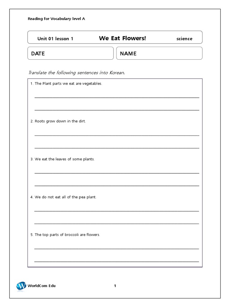 Vocabulary Level A: Lesson Translations | PDF