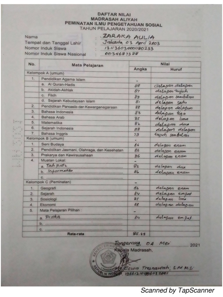 TapScanner Document Scan Overview | PDF