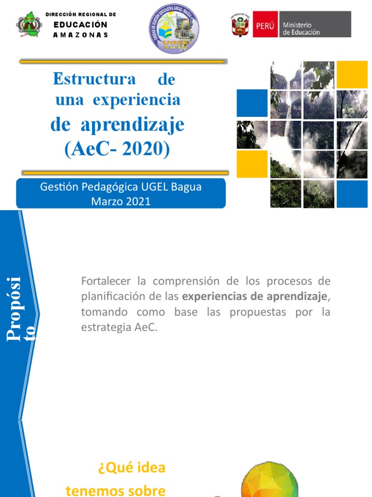 1-Estructura de Una Experiencia de Aprendizaje (Aec - UGEL Bagua) | PDF | Evaluación | Aprendizaje