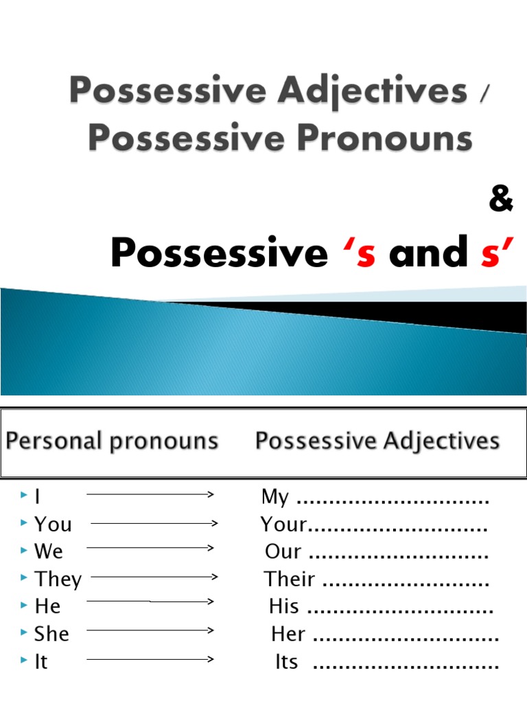 Possessive Adjective Pronouns | PDF