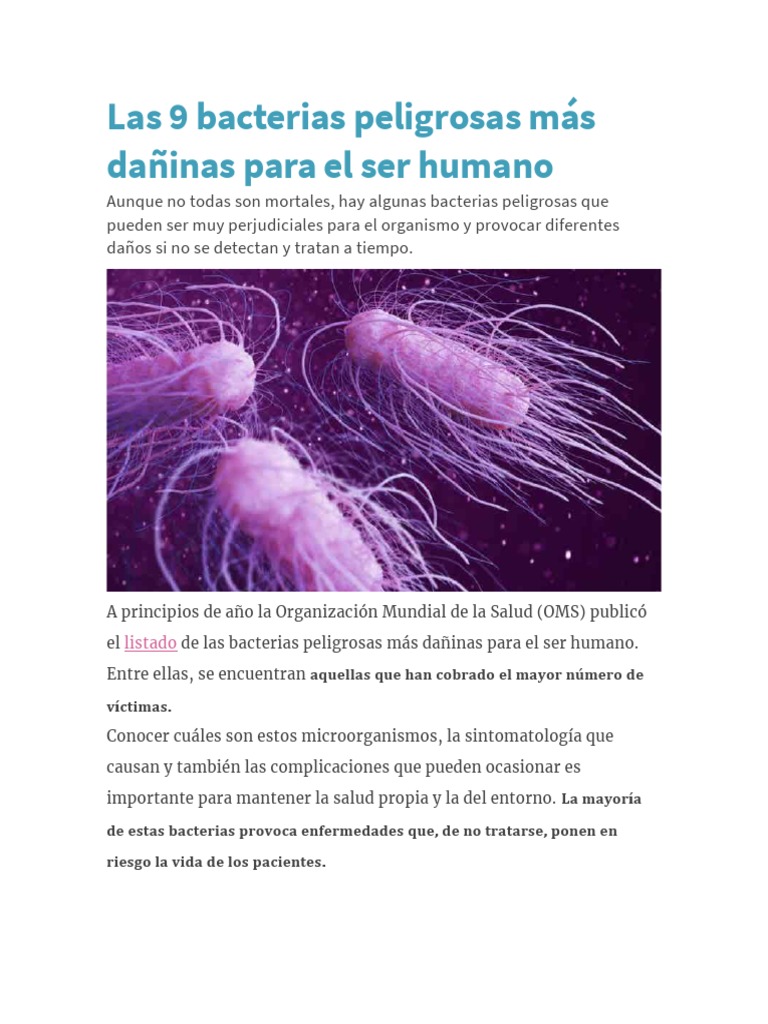 Las 9 Bacterias Peligrosas Más Dañinas para El Ser Humano | PDF ...