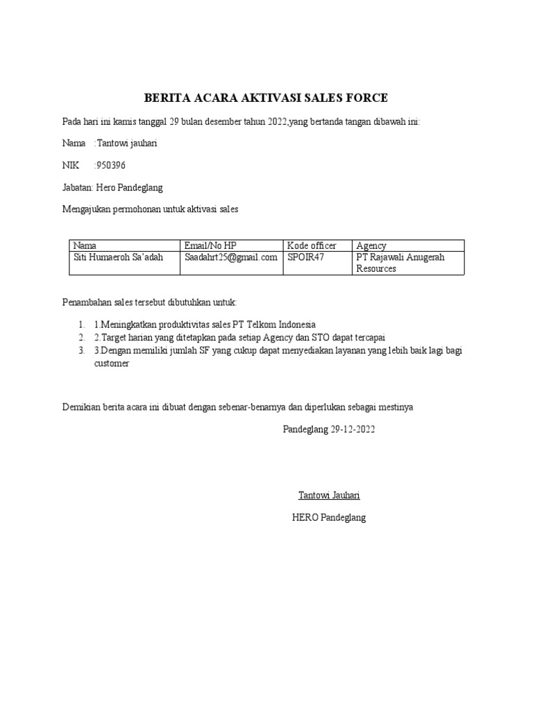 SALES FORCE ACTIVATION REPORT | PDF