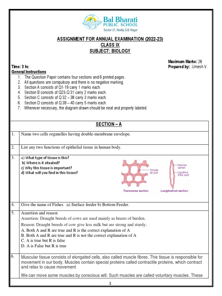 ASSIGNMENT FOR Annual EXAMINATIONS Class IX Biology | PDF | Skeletal ...