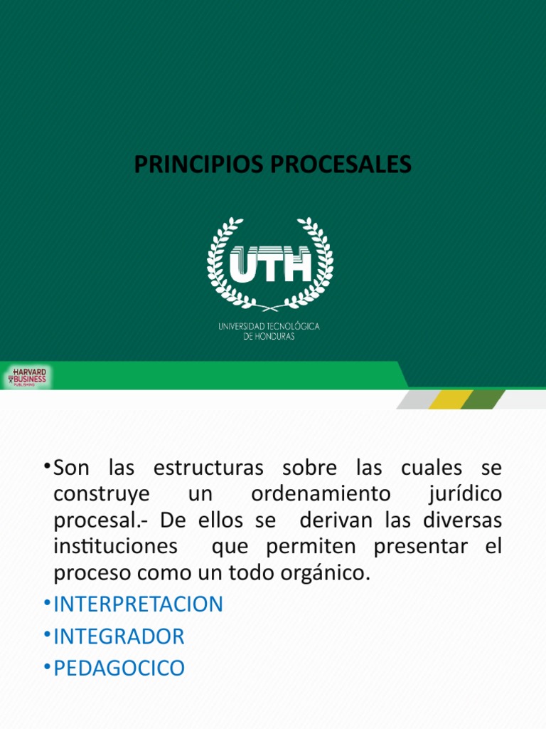 Principios Procesales | PDF | Ley procesal | Sentencia (ley)