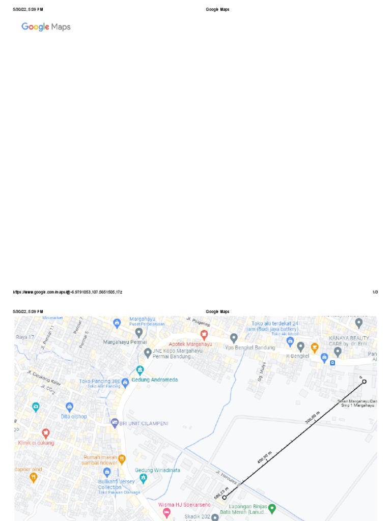 Google Maps | PDF