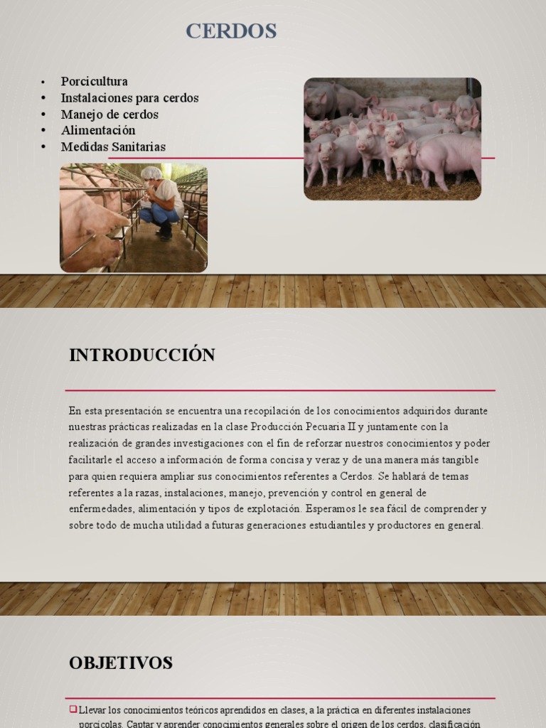 Manual de Cerdos - Diapositivas.Pecuaria II. Grupo 1 y 6.2018 | PDF | Cerdo