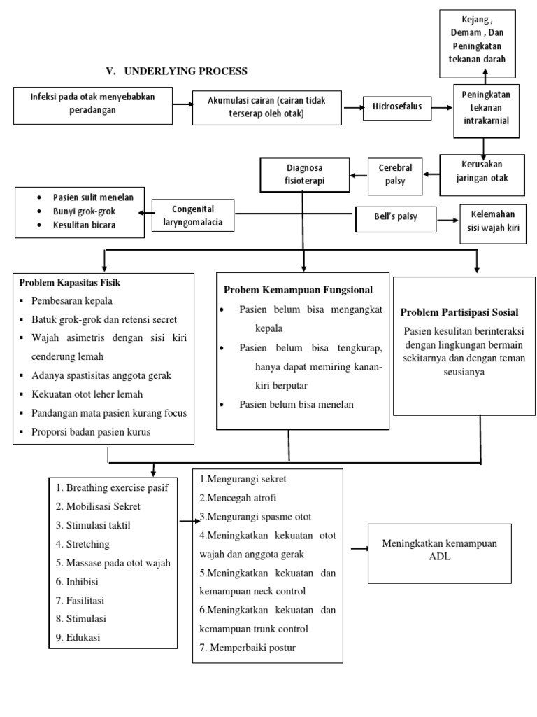 Underlying Process Cerebral Palsy | PDF