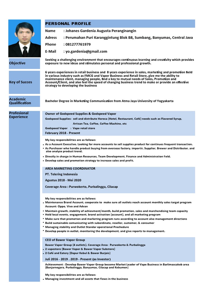 2111 CV Deni | PDF | Sales | Marketing